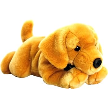 Gund 23cm Nayla Cockapoo Soft Toy: Amazon.co.uk: Toys & Games