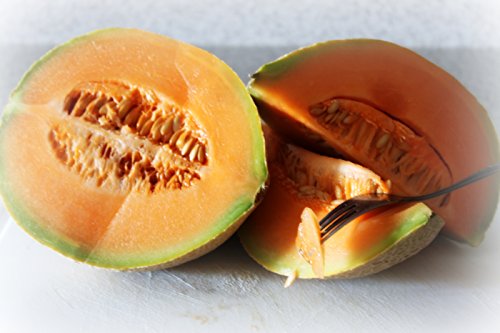 Melon : semis en godet et en pleine terre