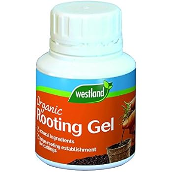 Westland Organic Rooting Powder, 100 g: Amazon.co.uk: Garden & Outdoors