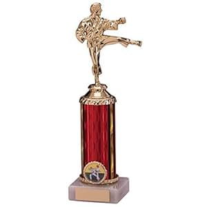 9.5 inch high Karate Martial Arts Figure Trophies Engraving Included ...