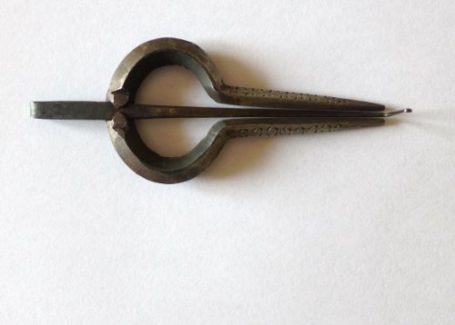 Guimbarde traditionnelle du Rajasthan. Morshang professionnel ...