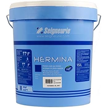 Peinture Seigneurie Pantex 900 Blanc 15L: Amazon.fr: Bricolage
