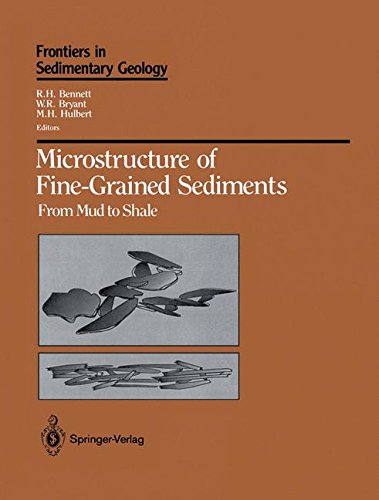 Buy Microstructure of Fine-Grained Sediments: From Mud to Shale ...
