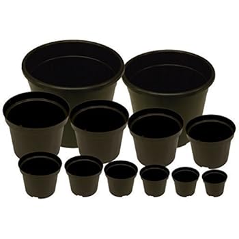 10 Litre Plastic Plant Pots (Black Round) Pack of 10 (a401): Amazon.co ...