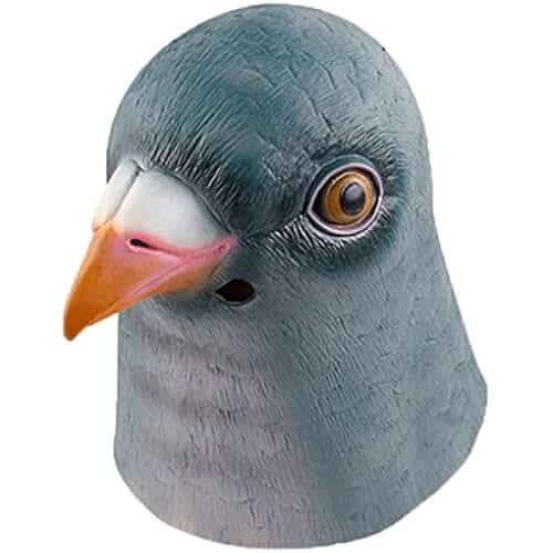 Amazon.co.uk: pigeon costume
