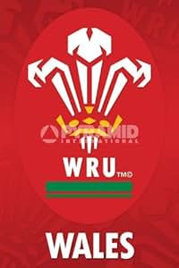 Wales Rugby Union WRU Crest Large Sport Poster 61 by 91.5cm: Amazon.co ...