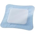 Vliwasorb Pro 12.5cm x 22.5cm Super-Absorbent Wound Dressing 32642 (x10 ...