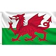 Wales Flag 3'x2' (90cm x 60cm) - Welsh Flag : Amazon.co.uk: Garden
