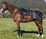 monta inglese - Cavalli