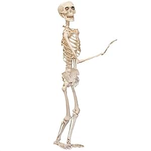 ILOVEFANCYDRESS 5 FOOT LIFESIZED POSABLE SKELETON HALLOWEEN PROP ...
