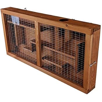 The Hutch Company Squirrel Fun Maze Feeder: Amazon.co.uk: Garden & Outdoors