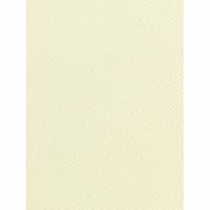 Ivory Matt Textured Hammered A4 Card 270gsm x 50 sheets: Amazon.co.uk ...