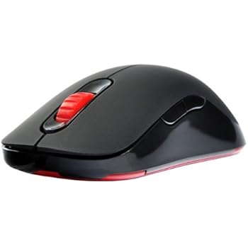 Zowie AM-GS Pro Gaming Mouse - Black: Amazon.co.uk: Computers & Accessories