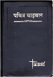 Buy Holy Bible In Hindi|Pavitra Bible|Hindi Bible|The Holy Bible In ...