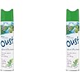 Oust Odour Eliminator Aerosol Air Freshener Outdoor Scent, 300ml (Pack ...