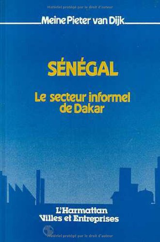 le secteur informel pdf
