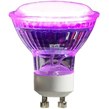 Pro-Lite 2w Magenta GU10 LED cluster spot light bulb (coloured, twist ...