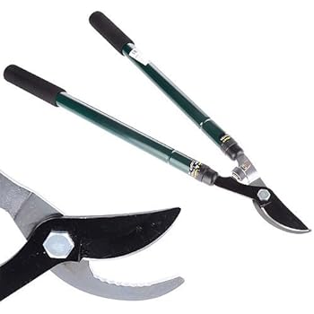 Heavy Duty Telescopic Extending Handles Garden Ratchet Loppers/Anvil ...