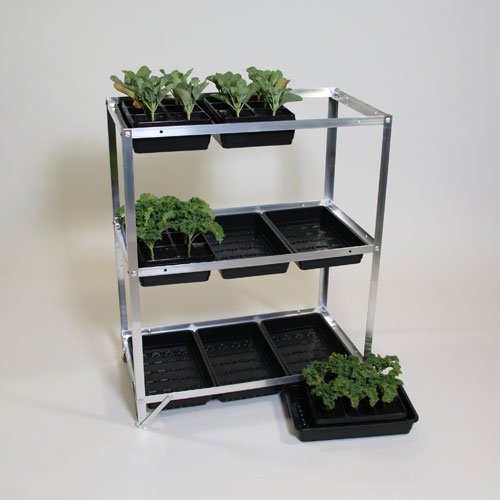 Economy Seed Tray Rack | Garden Outdoor Store