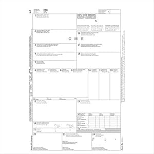 Semper Multiservice 183160000 Snap-an International Consignment Note ...