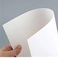 White Chart Paper, A1 Size 22 x 28 inch, 220 GSM, Pack of 10 Sheets ...