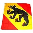 Fahne/Flagge Schweiz - Kanton Bern NEU 90 x 90 cm : Amazon.de: Garten