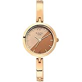 Titan Raga Quartz Analog Brown Dial Golden Metal Strap Watch for Women ...