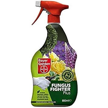Bayer Garden Fungus Fighter Plus, 800 ml: Amazon.co.uk: Garden & Outdoors