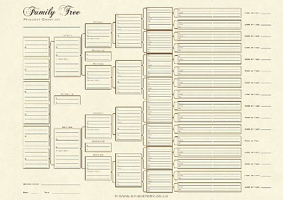Buy Family Tree Chart; Parchment A3 Six Generation Pedigree Chart -PACK ...