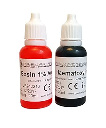 Eosin & Haematoxylin Stains (2 x 20ml Kit): Amazon.co.uk: Business ...
