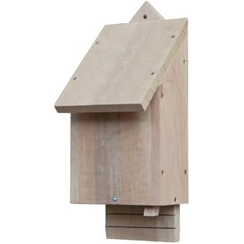 House Martin Nest Box. Double Nest: Amazon.co.uk: Garden & Outdoors