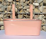 Pianta con fiori rosa - Fiori delle piante - Pianta dai fiori rosa ...