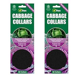 60 x Vitax Cabbage Collars Deters Root Flies & Repels Slugs Snails ...