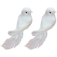 Yalulu 2Pcs Decorative Fake Doves Pigeon Artificial Foam Feather White ...