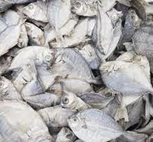 Dried Fish- Mullan/karuvadu /unakkameen 100 g : Amazon.in: Grocery ...