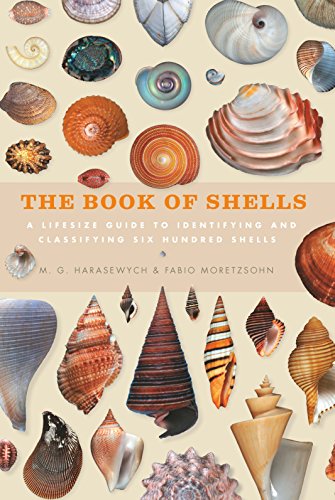 The Book of Shells: A life-size guide to identifying and classifying ...