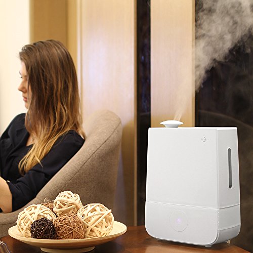 Joly Joy Luftbefeuchter 4L Ultraschall Humidifier mit kühlem Dampf mit ...