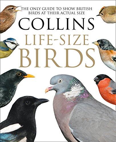 Collins Life-Size Birds: The Only Guide to Show British Birds at their ...