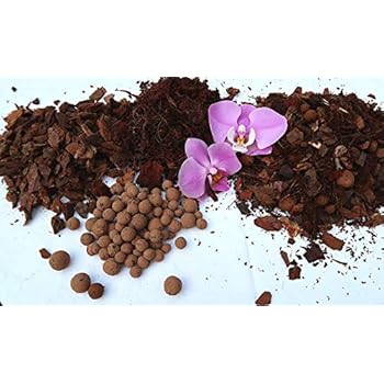 Soil for Orchids, substrate Orchid Phalaenopsis Soil, Premium Special ...