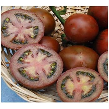 BIG RAINBOW HERITAGE HEIRLOOM YELLOW RED STRIPED HUGE MEATY BEEFSTEAK ...