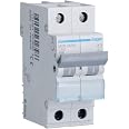 Hager MUN240A Interruptor Automático Magnetotérmico Serie MU, 2P, 40A ...