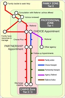 The 7 Helpful Habits of Effective CAMHS and the Choice and Partnership ...