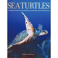 Sea Turtles – A Complete Guide to Their Biology, Behavior and ...