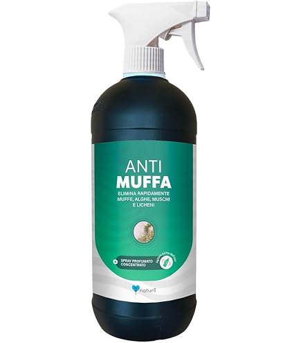 Trattamento Muffa Garantito Spray Neutron Antimuffa RHUTTEN - Rimuove ...