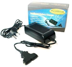 Powakaddy Compatible 12v-4Aamp Golf Battery Charger (Automatic) by ...