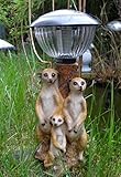Statue suricate de jardin pas cher