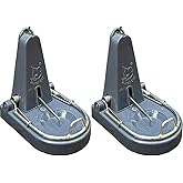 Black Cat Standard Rat Trap:Mouse Catch (Grey, 1) : Amazon.in: Garden ...