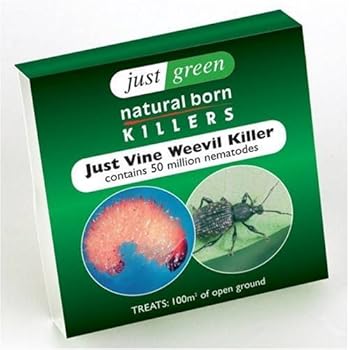 Nemasys vine weevil killer standard pack: Amazon.co.uk: Garden & Outdoors