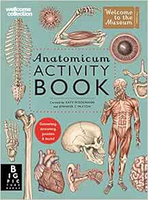 Anatomicum Activity Book (Welcome To The Museum): Amazon.co.uk: Paxton ...