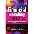 Buy Financial Modelling in Practice: A Concise Guide for Intermediate and Advanced Level: 443 ...